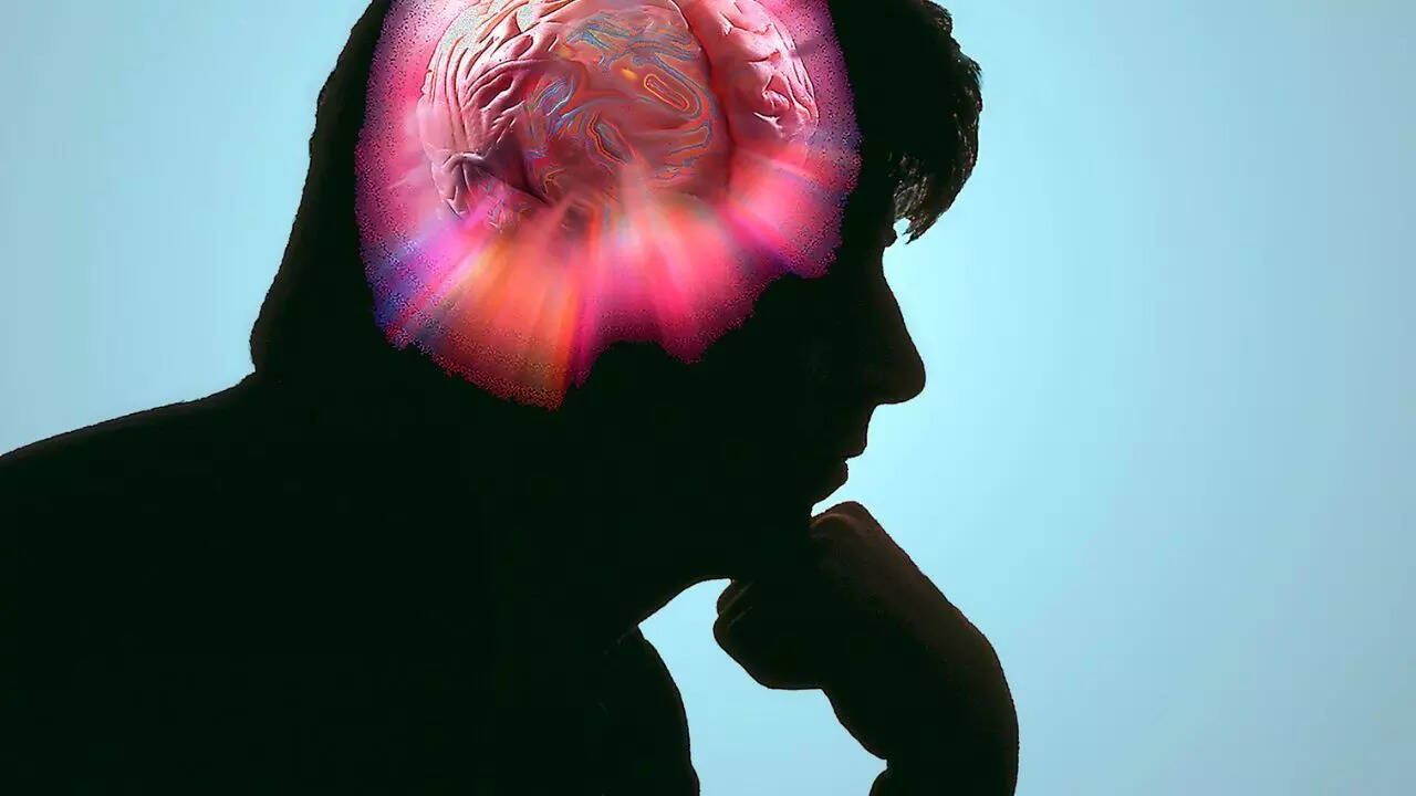 You have three brains, not one; here’s what that means for your ...