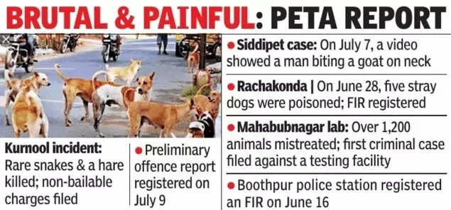 YouTube videos of animal killings result in criminal cases in Telangana ...