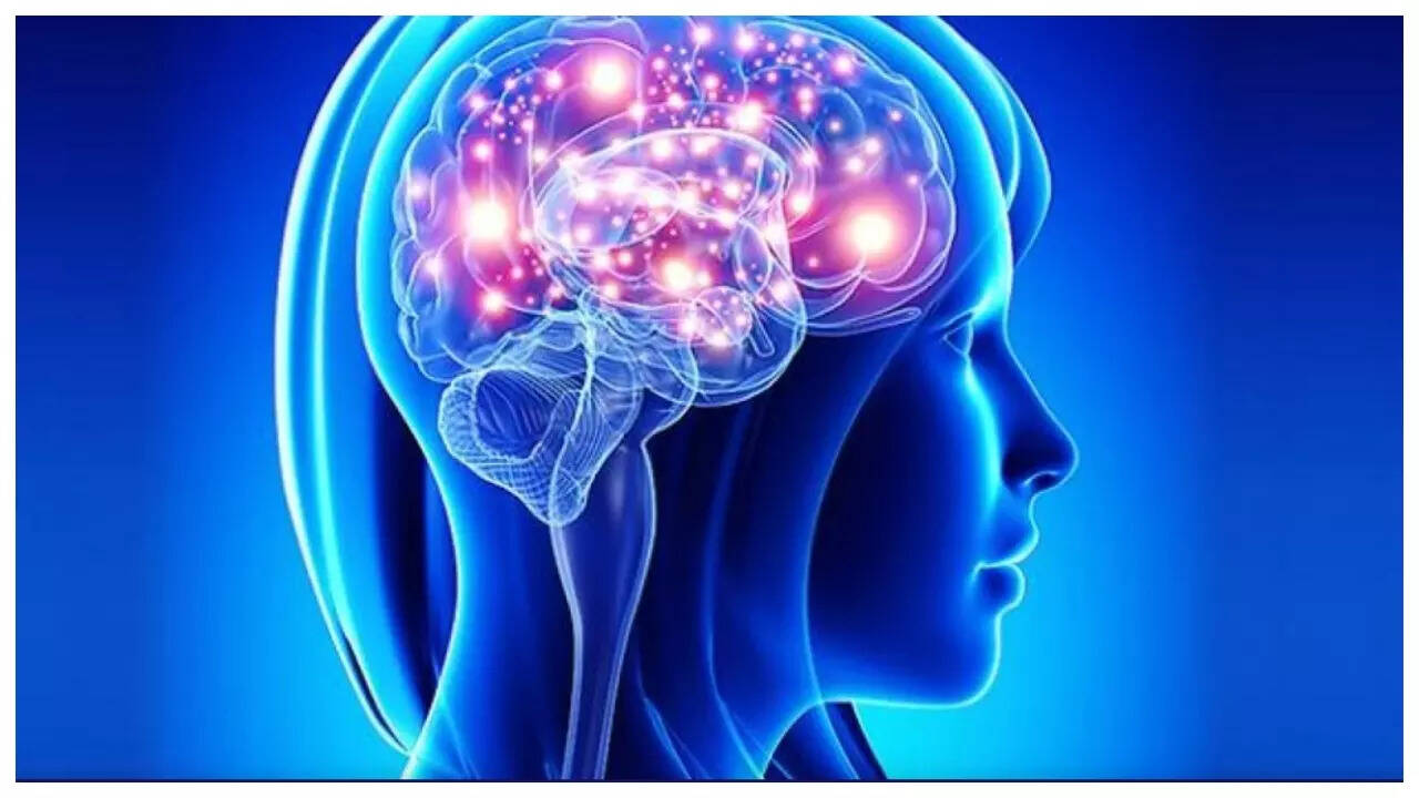 Rabies: How exactly does rabies happen? A scratch, a bite or just a ...