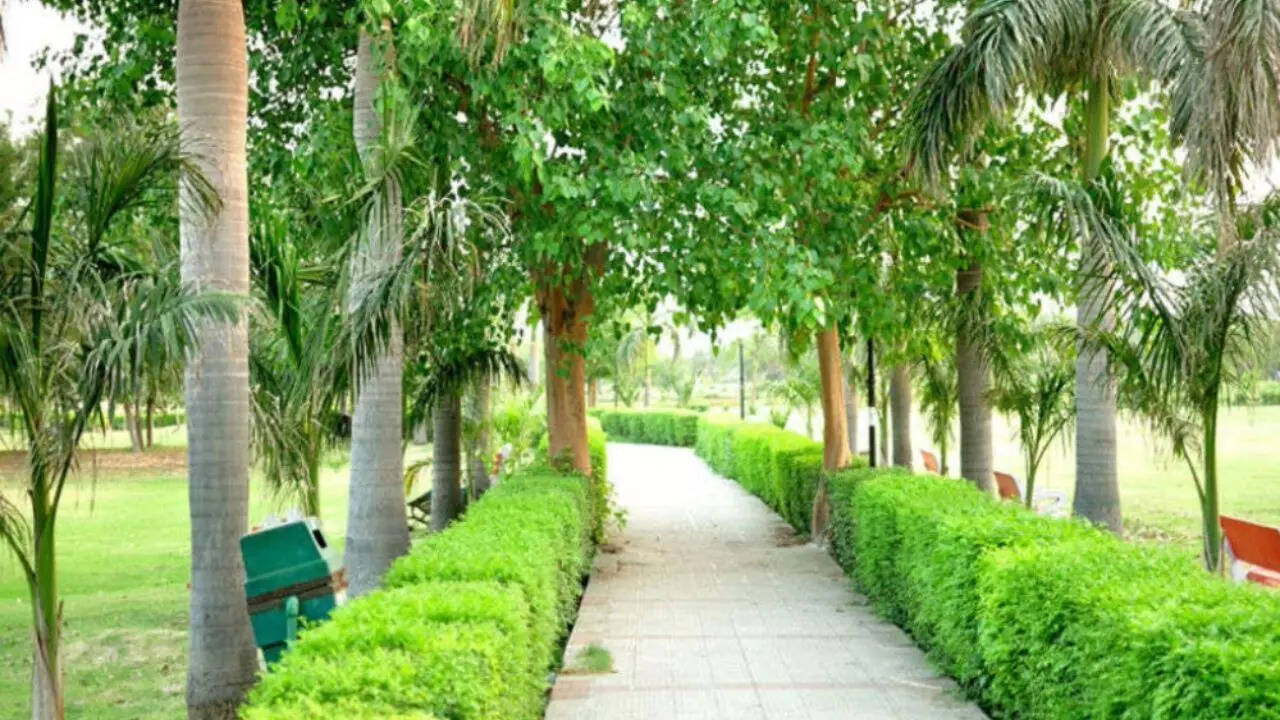 India Gate picnic ban? here are 7 chill picnic spots in Delhi you can ...