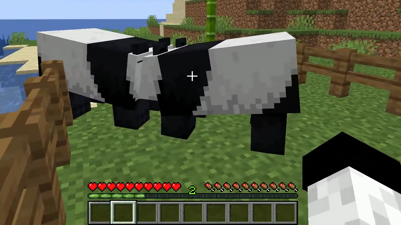 How to breed Pandas in Minecraft | Esports News - Times of India