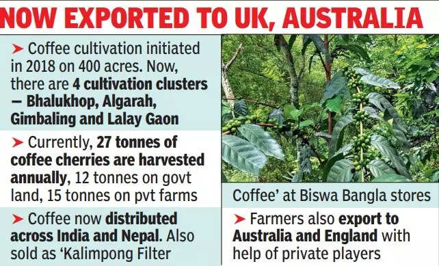 ‘Over 1,200 farmers grow coffee in hills’: After brewing tea for over ...