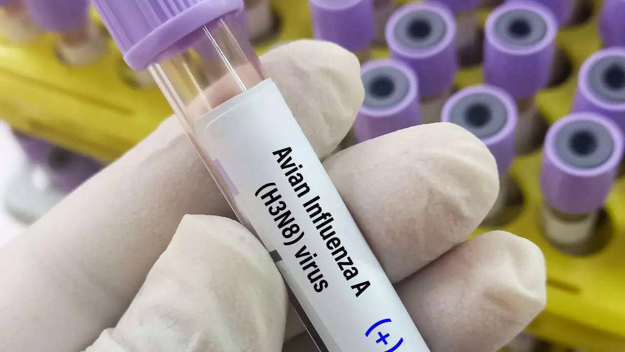 Bird Flu outbreaks surge in India: Know its symptoms, prevention and ...