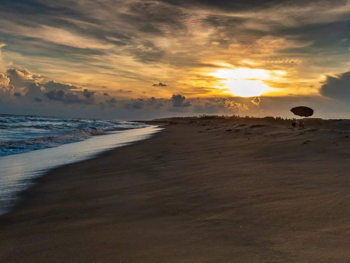 Why Puri Beach Might Be a Better Bet Than Goa This Year | - Times of India