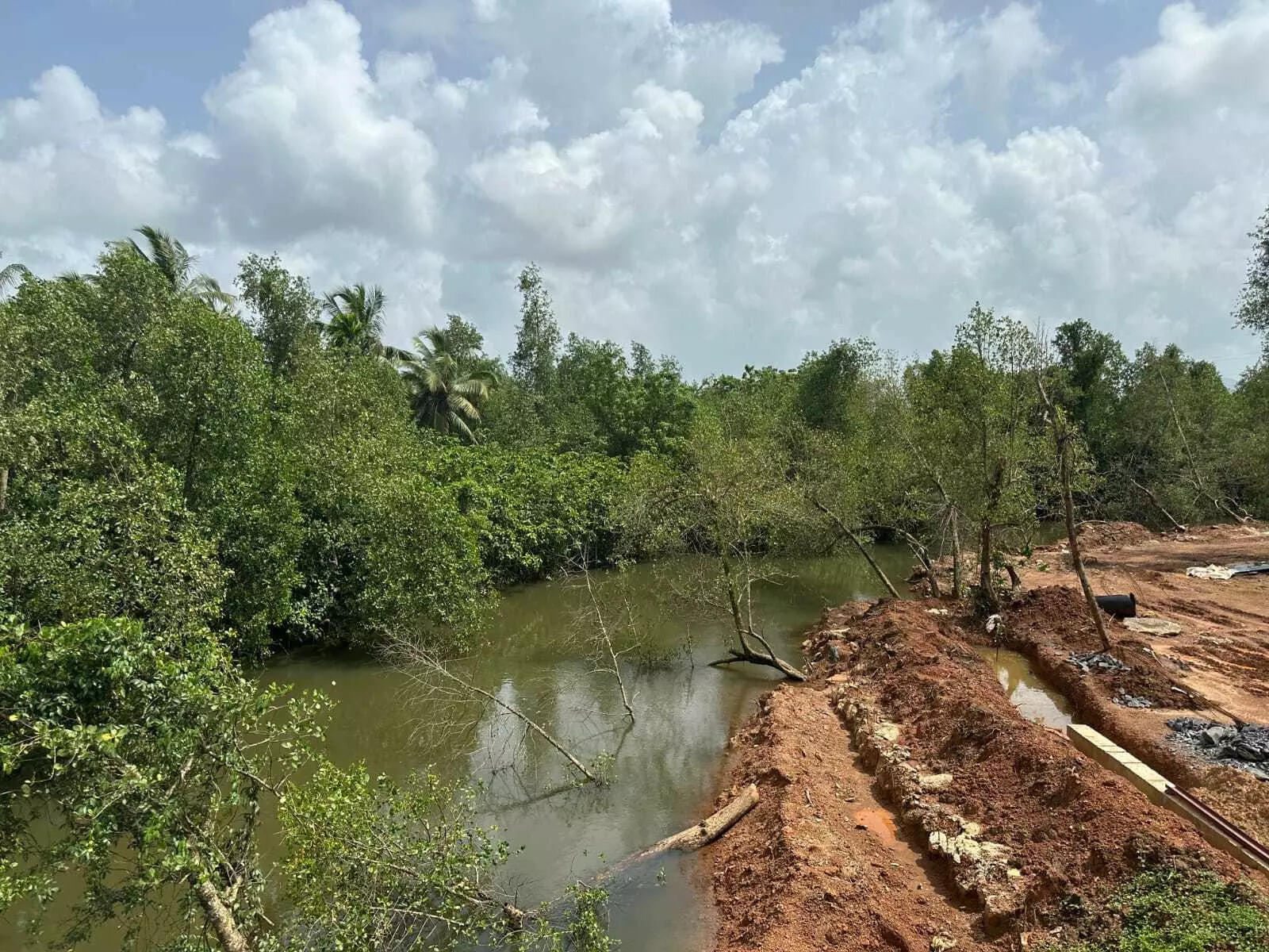 GSPCB report on mangrove destruction at Curchorem STP site disputed ...