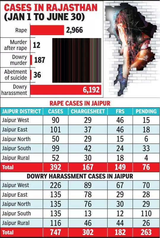 Rajasthan reports 2,966 rape cases, 6,192 dowry harassment cases in 6 months; Jaipur records ...