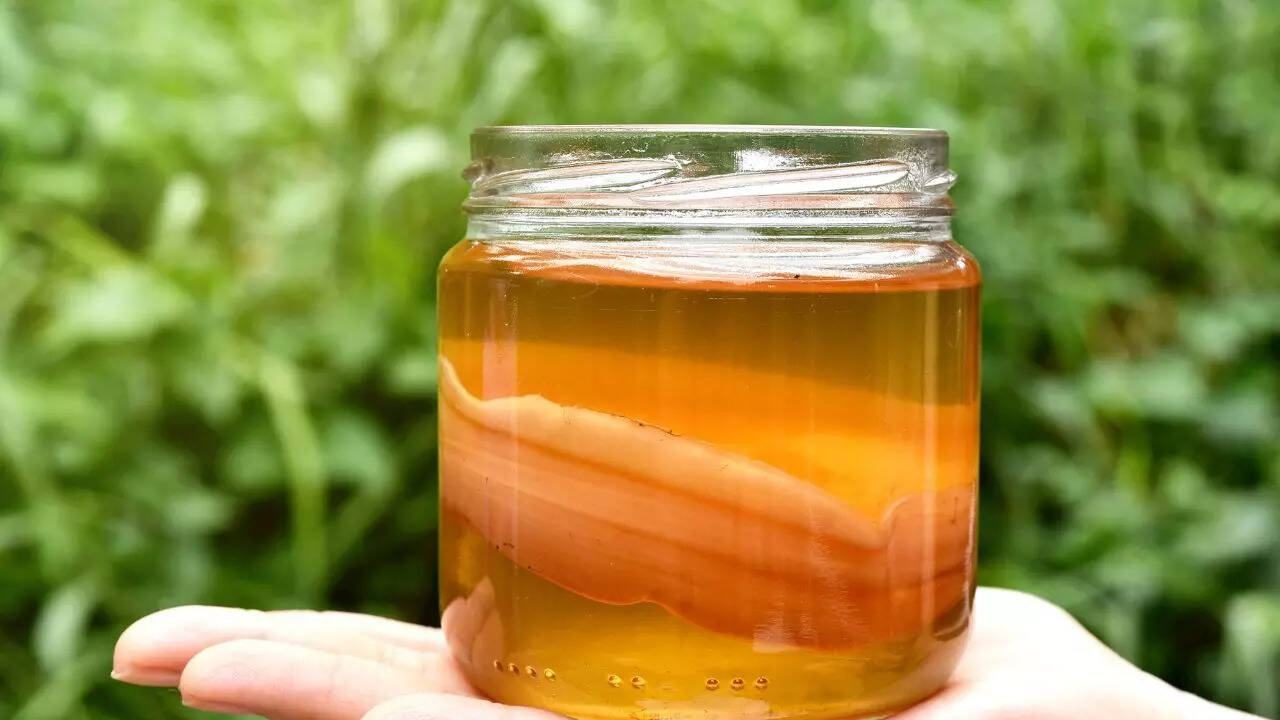 What happens when you add soaked chia seeds to Kombucha? - The Times of ...