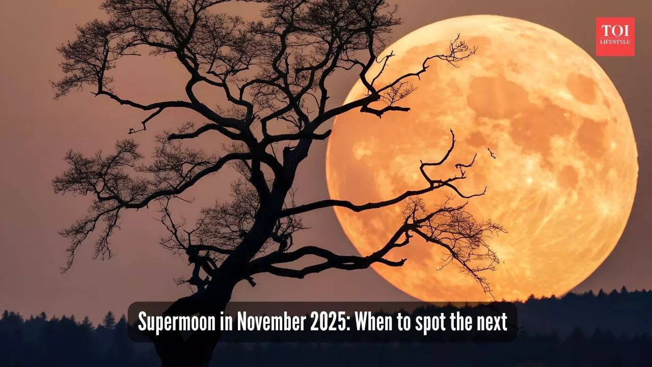 Supermoon lit up the November sky: Was it actually bigger on this day ...