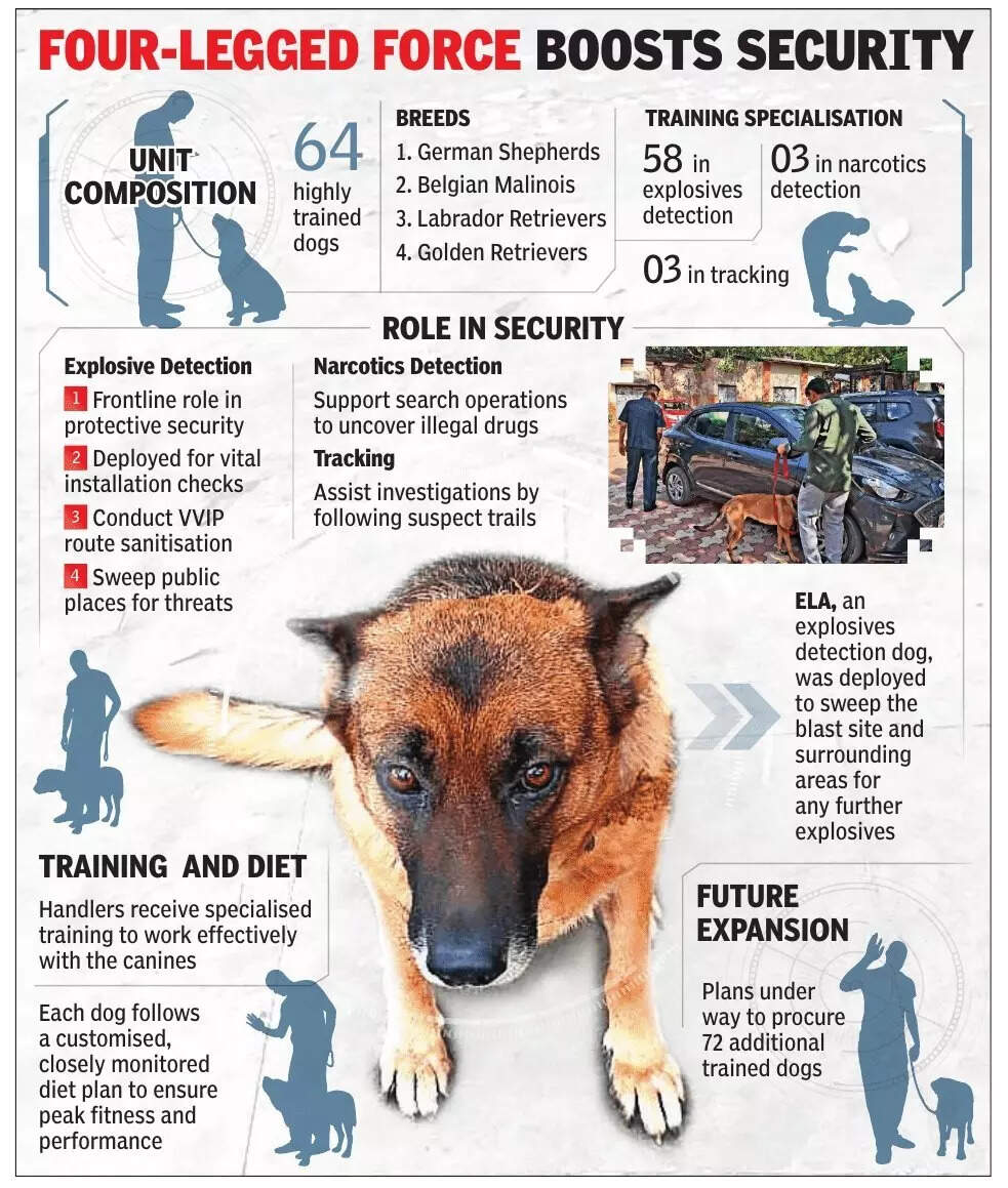 Nose for danger: How K-9 squad became Delhi Police’s unseen shield ...