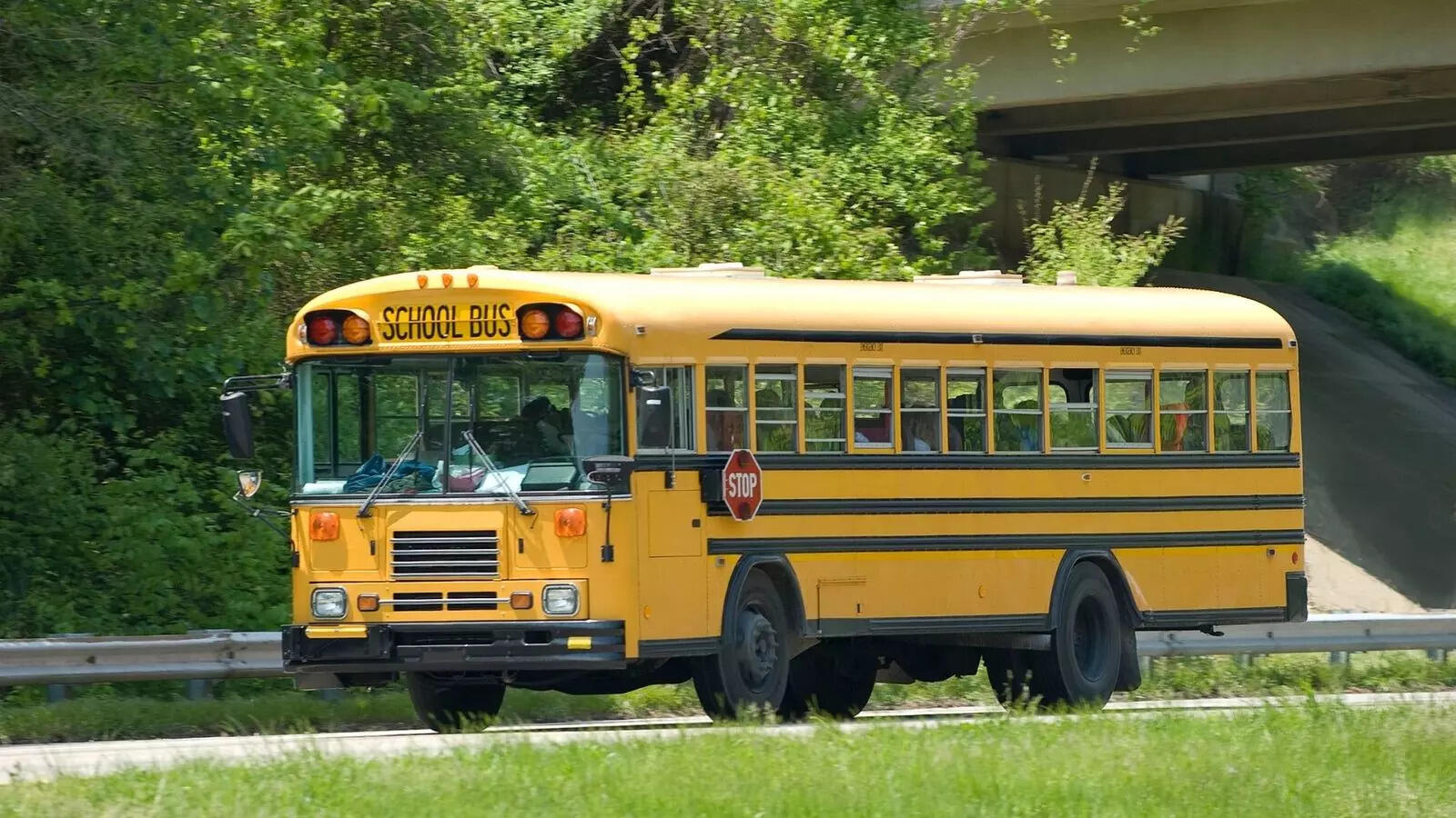 Ever wondered why school buses are yellow? Here’s the answer - The ...