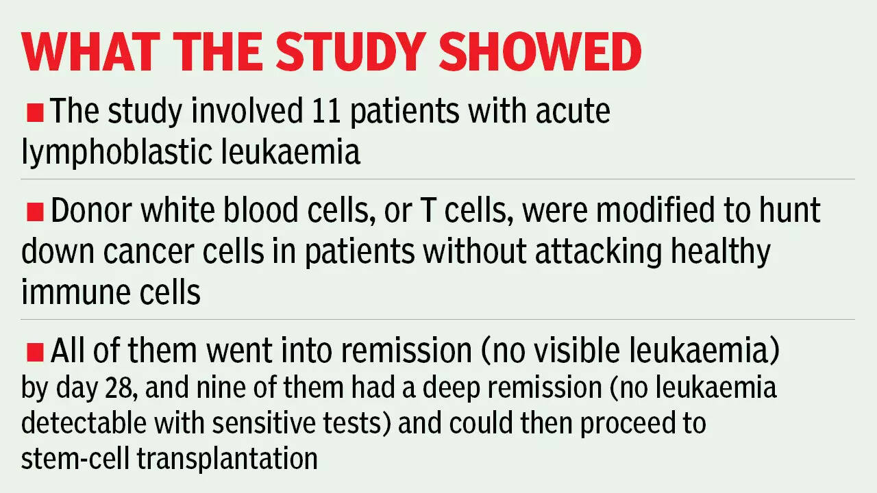 Immune cells modified to become ‘living drugs’ for cancer patients ...