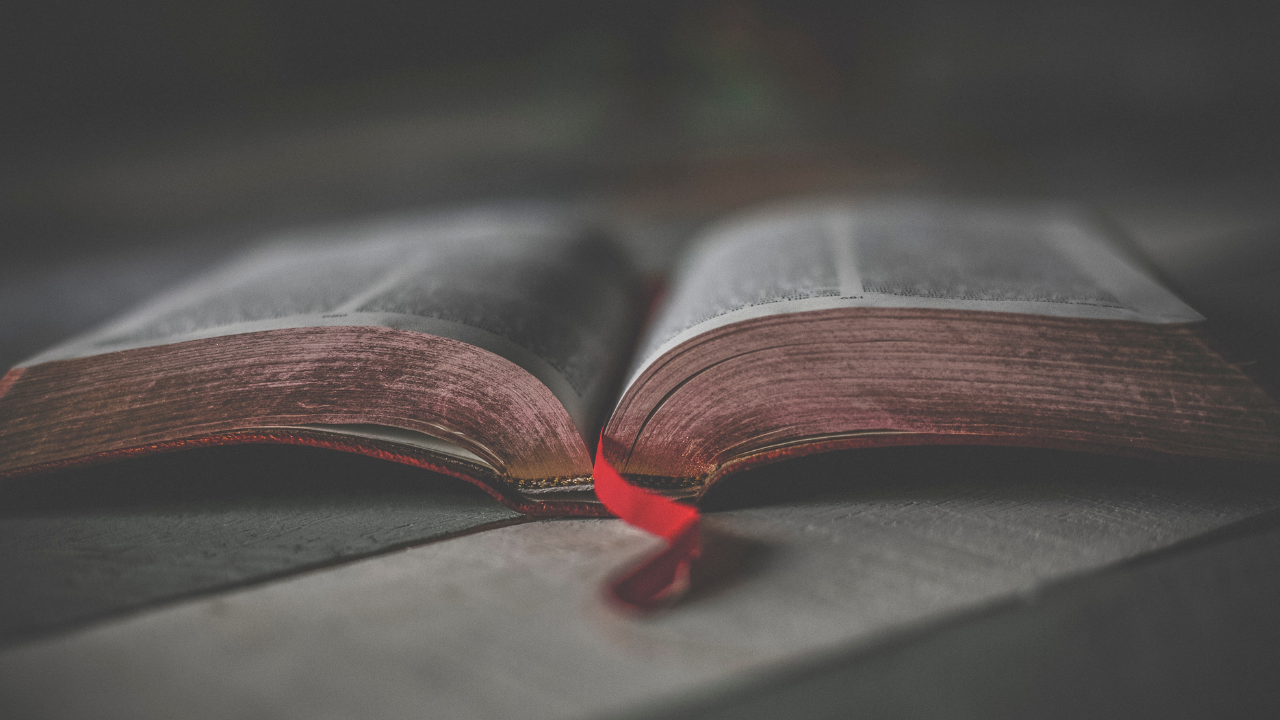 Bhagavad Gita shloka of the day to overcome fear and doubt | - The ...