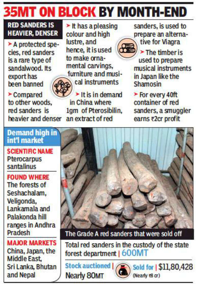 At 1st global e-auction, 45MT red sanders sold for Rs 8 crore | Mumbai ...