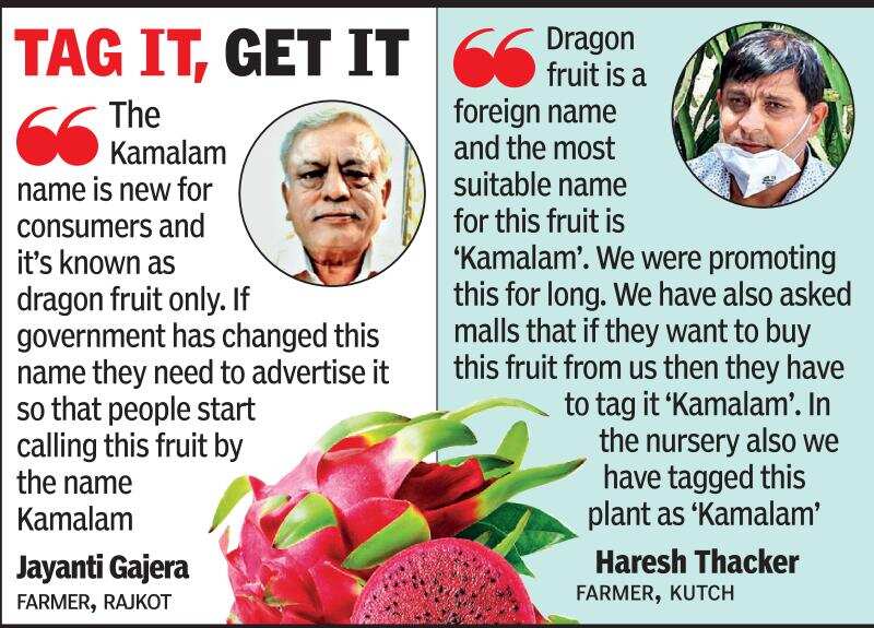 Dragon fruit: Gujarat govt renames dragon fruit grown in Gujarat as ...
