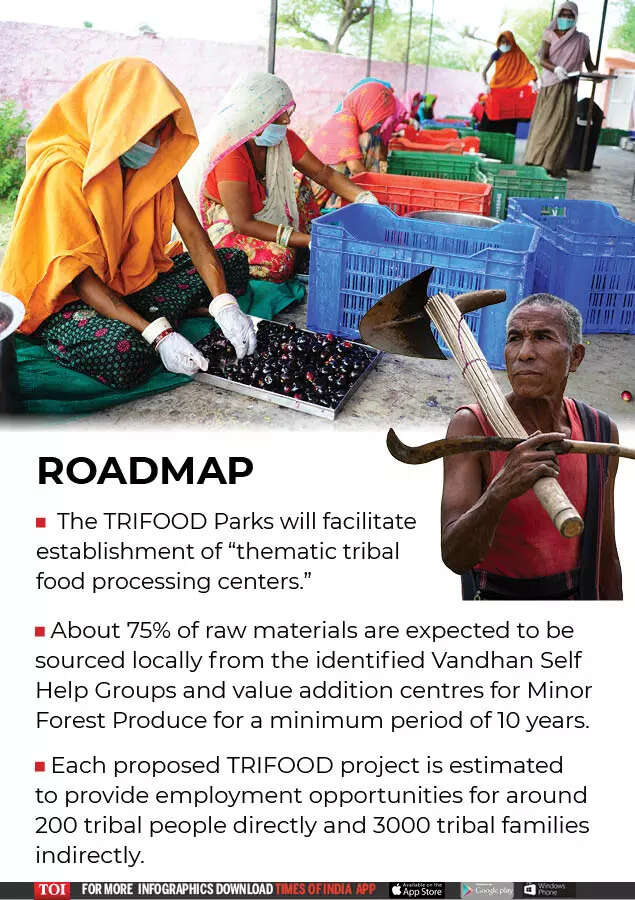India’s first food park for tribals set to start in Bastar | India News - Times of India