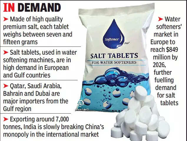 Gujarat: Made-in-Kutch salt tablets help Europe get pure water | Rajkot ...