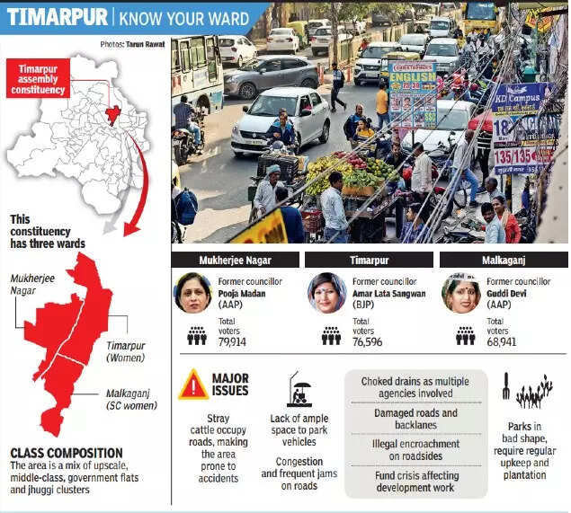 Poor infrastructure, hanging wires & strays: Lessons not learnt at ...
