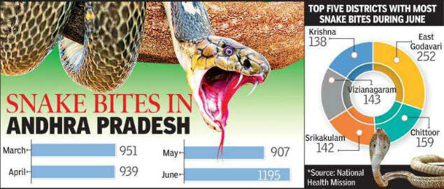 3,041 snake bite cases reported in Andhra Pradesh during lockdown ...