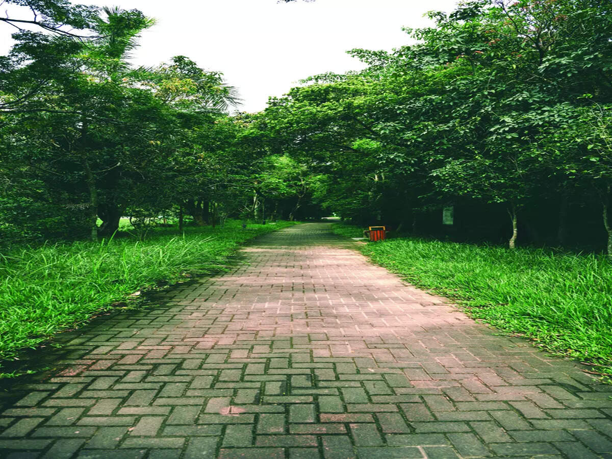 Citizen power triumphs as 15,000 voices rally to bag heritage tag