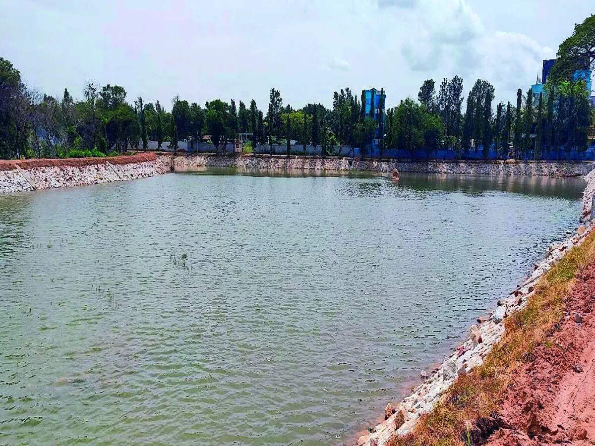 Neglected lake revived with community effort