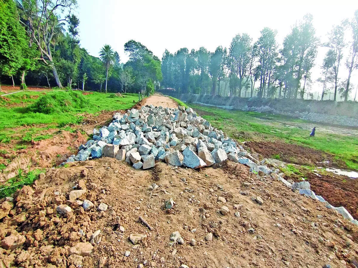 Lake rejuvenation: Too much uncertainty