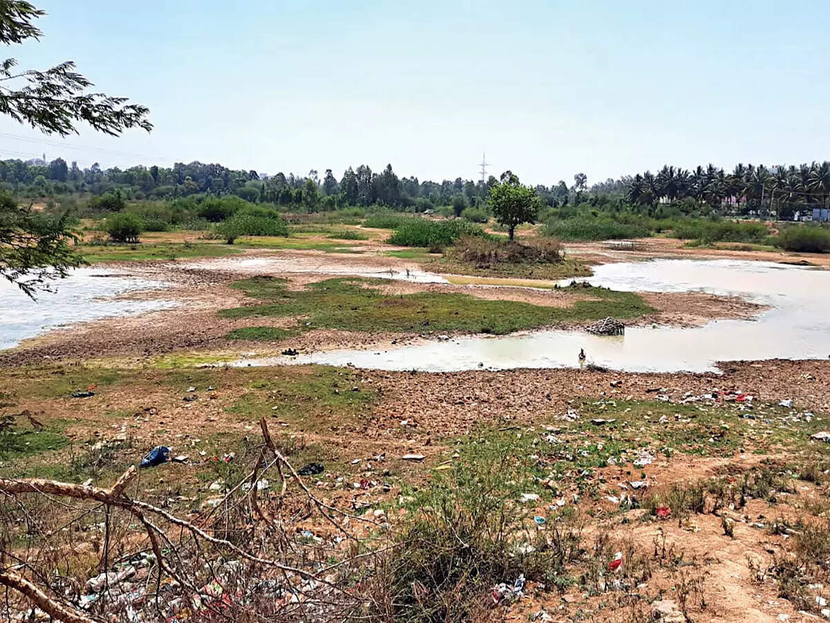 The shrinking shape of water