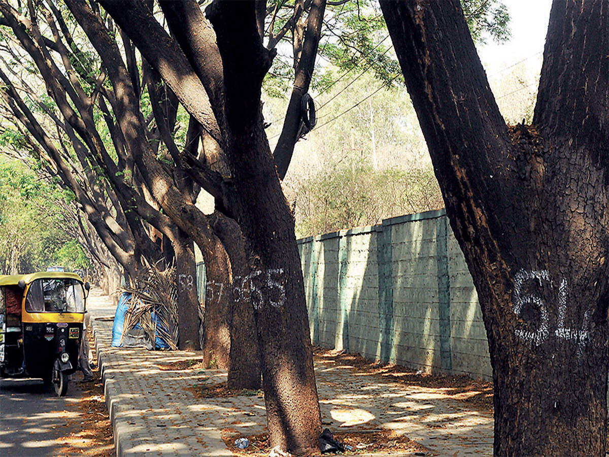 KRDCL hits the road with Rs 477-cr plan