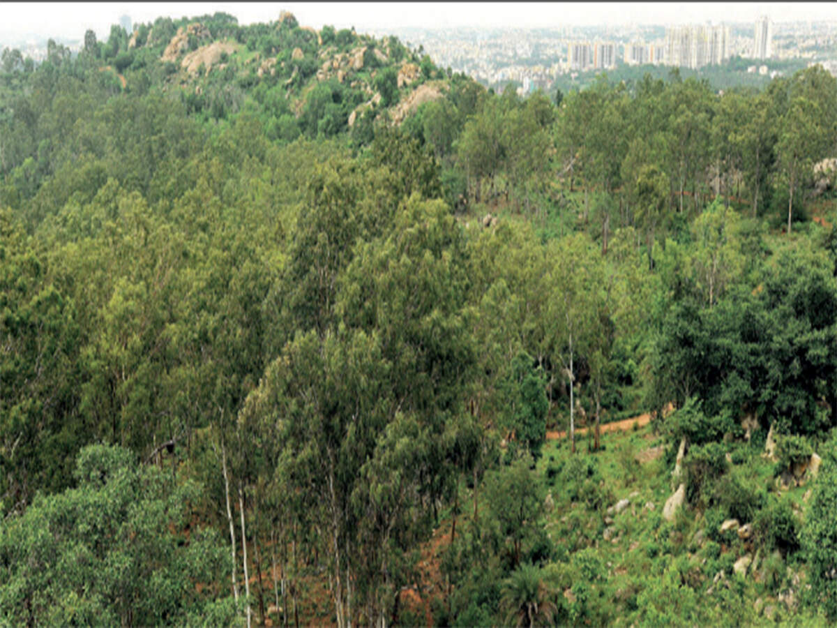 VIPs to visit Turahalli today