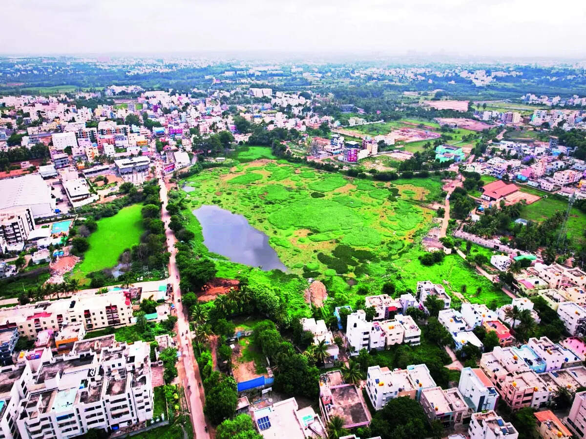 Kithaganur Lake revitalisation set for July 7