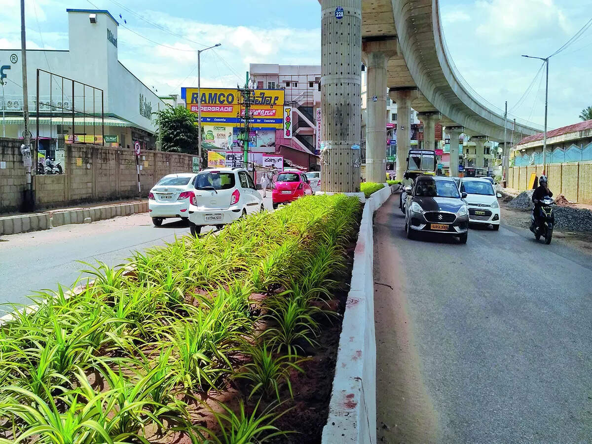 Pedestrian crossings: BBMP steps on brakes