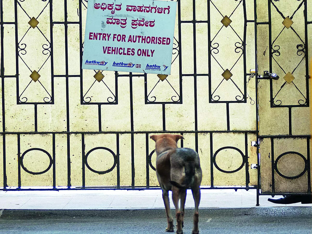 abc: BBMP panel to descend upon ABC centre