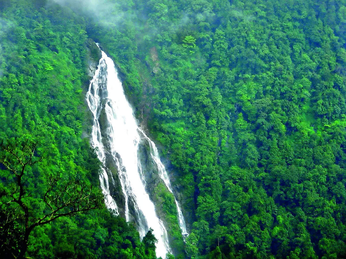 Centre panel flags risks, rejects Sharavathi pumped storage project