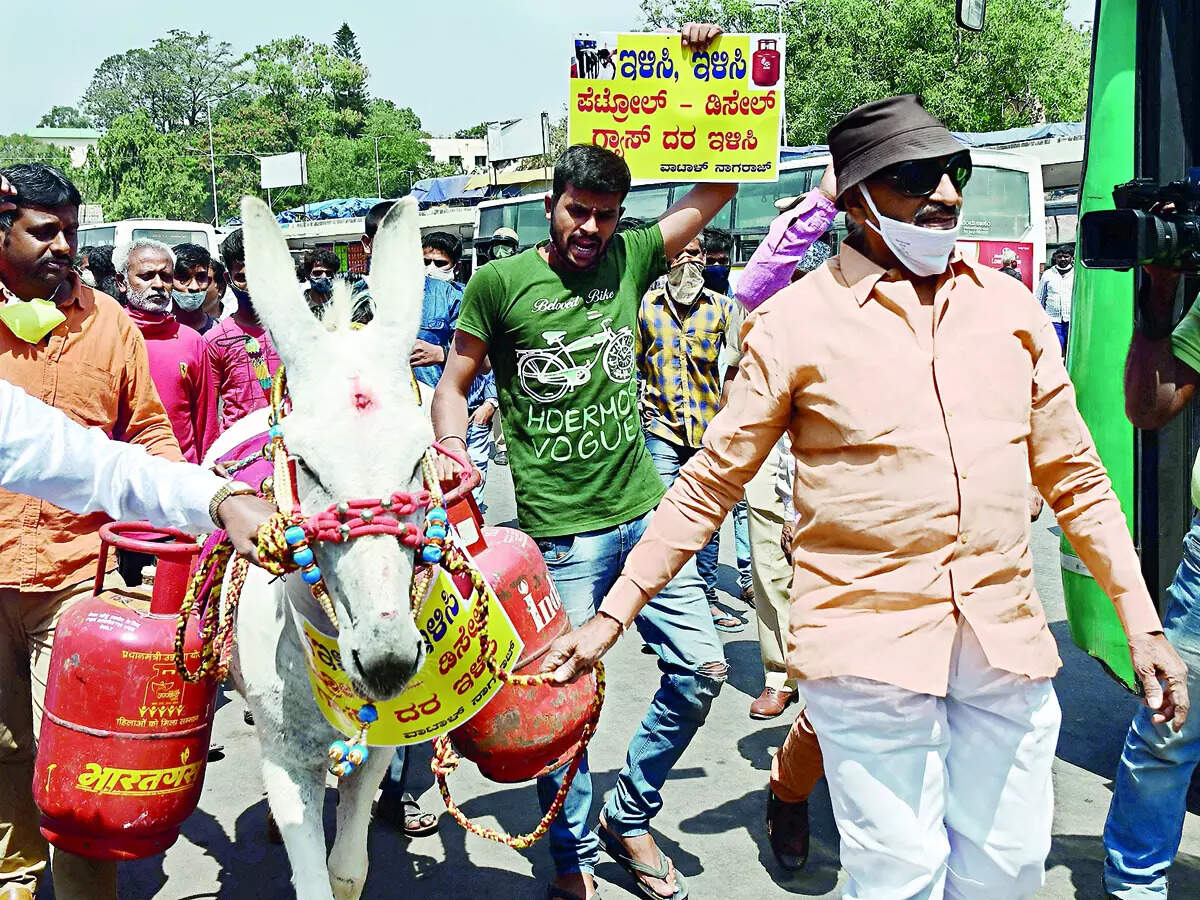 animal: Animal activists up in arms over abuse of donkey