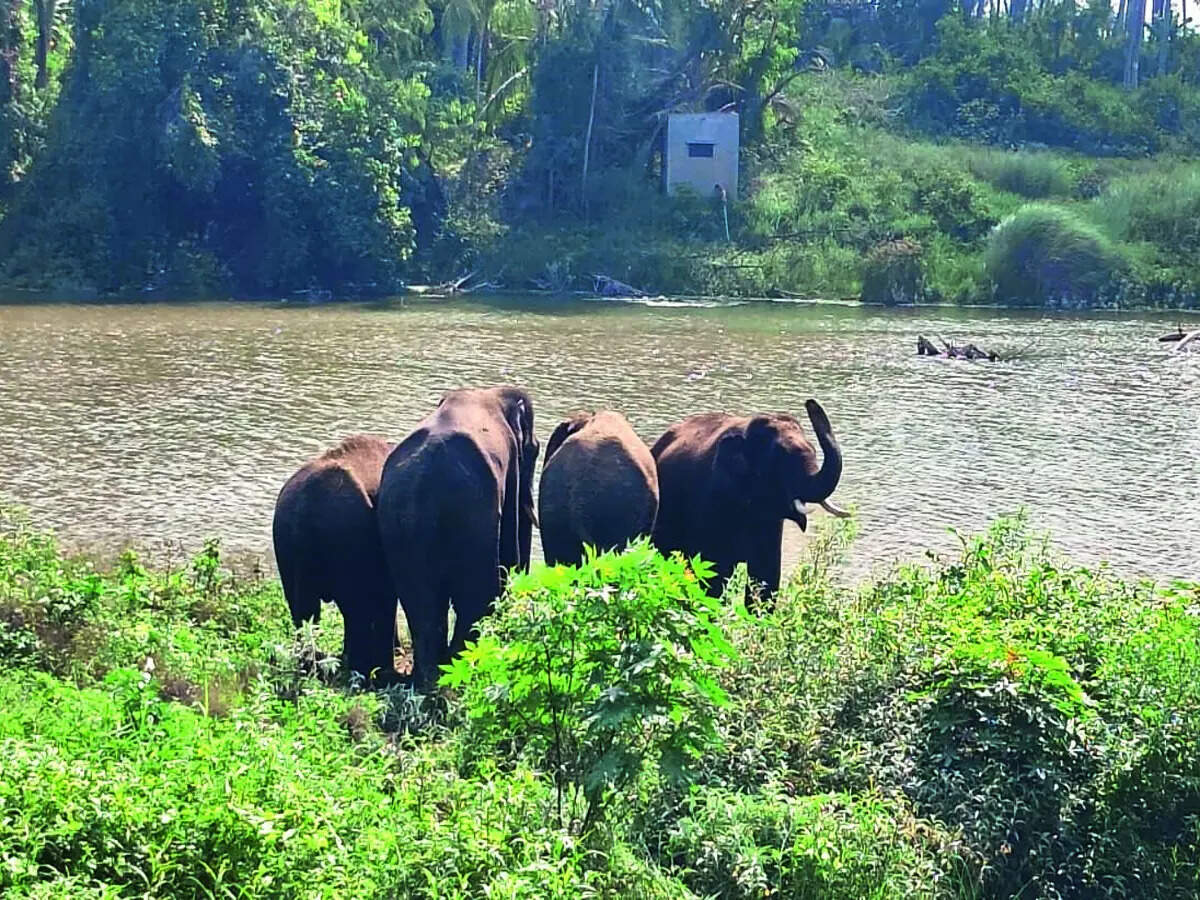 Take jumbo numbers with pinch of salt?