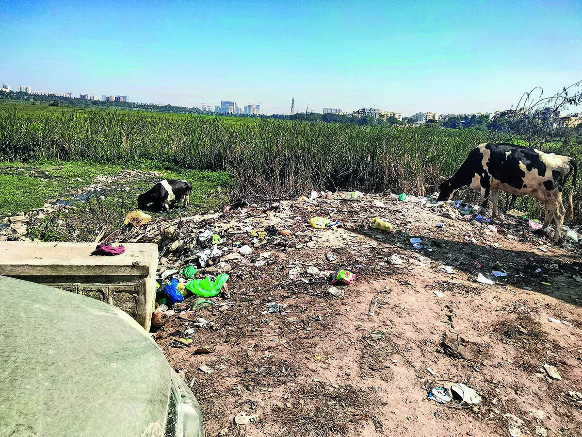 Will the real custodian please stand up?