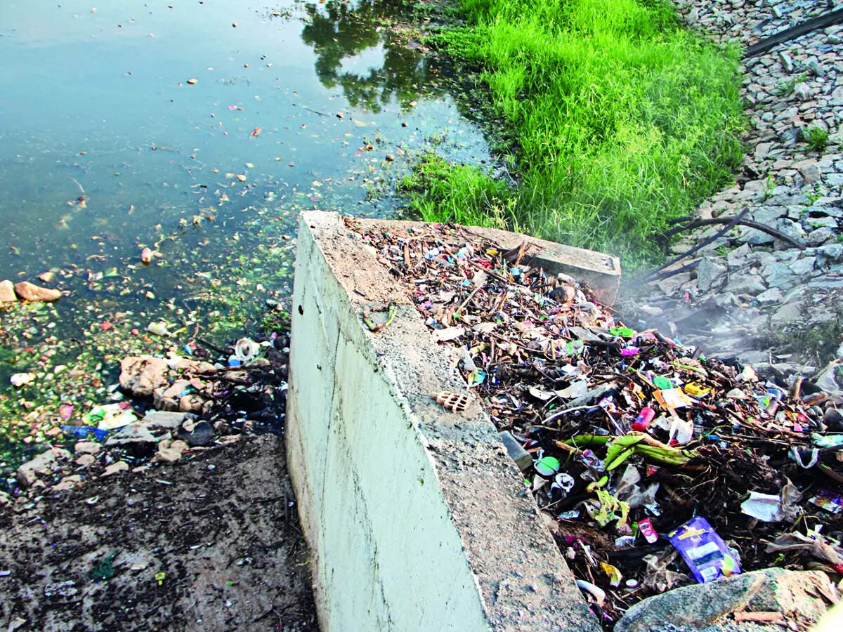 This untidy blend threatens the lake