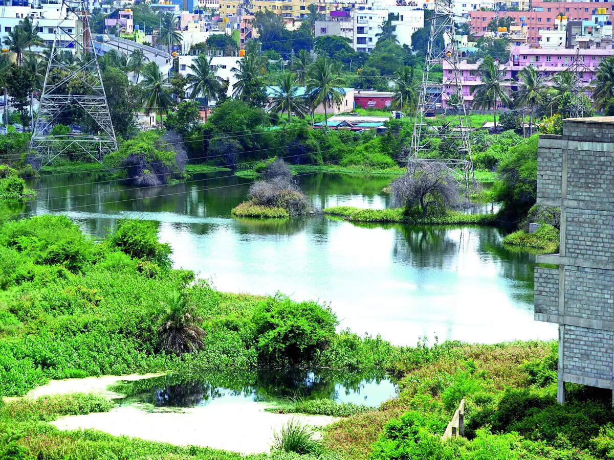 Revive, destroy, repeat