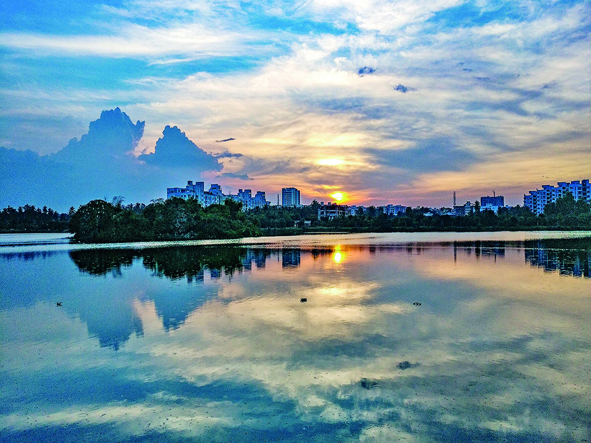 Jakkur Lake: Story behind the photo: Midweek blues