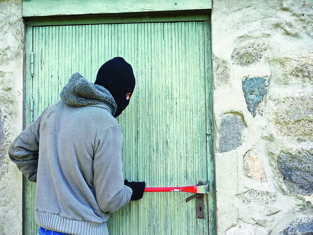 Thief, thief: Nearly 1,500 theft cases in city a month