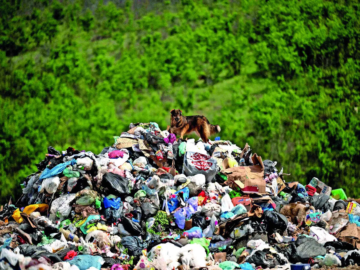 Karnataka waste report faces NGT scrutiny over compliance gaps