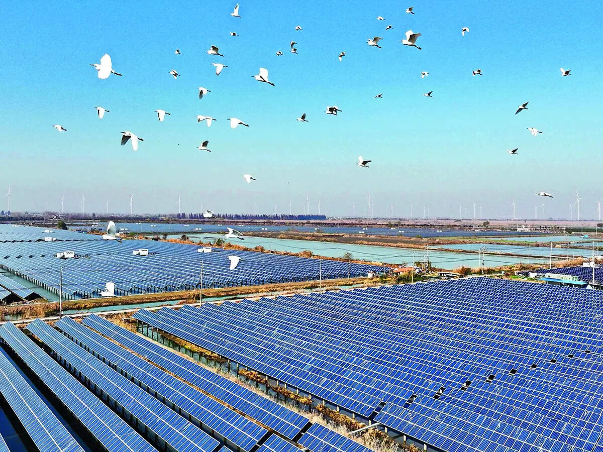 Karnataka’s energy growth dims amid policy snags