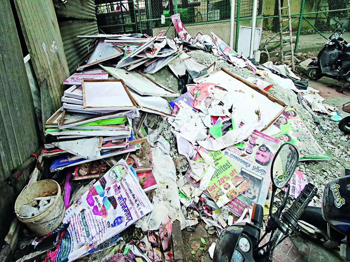 palike: Picture that’s not so perfect for Palike