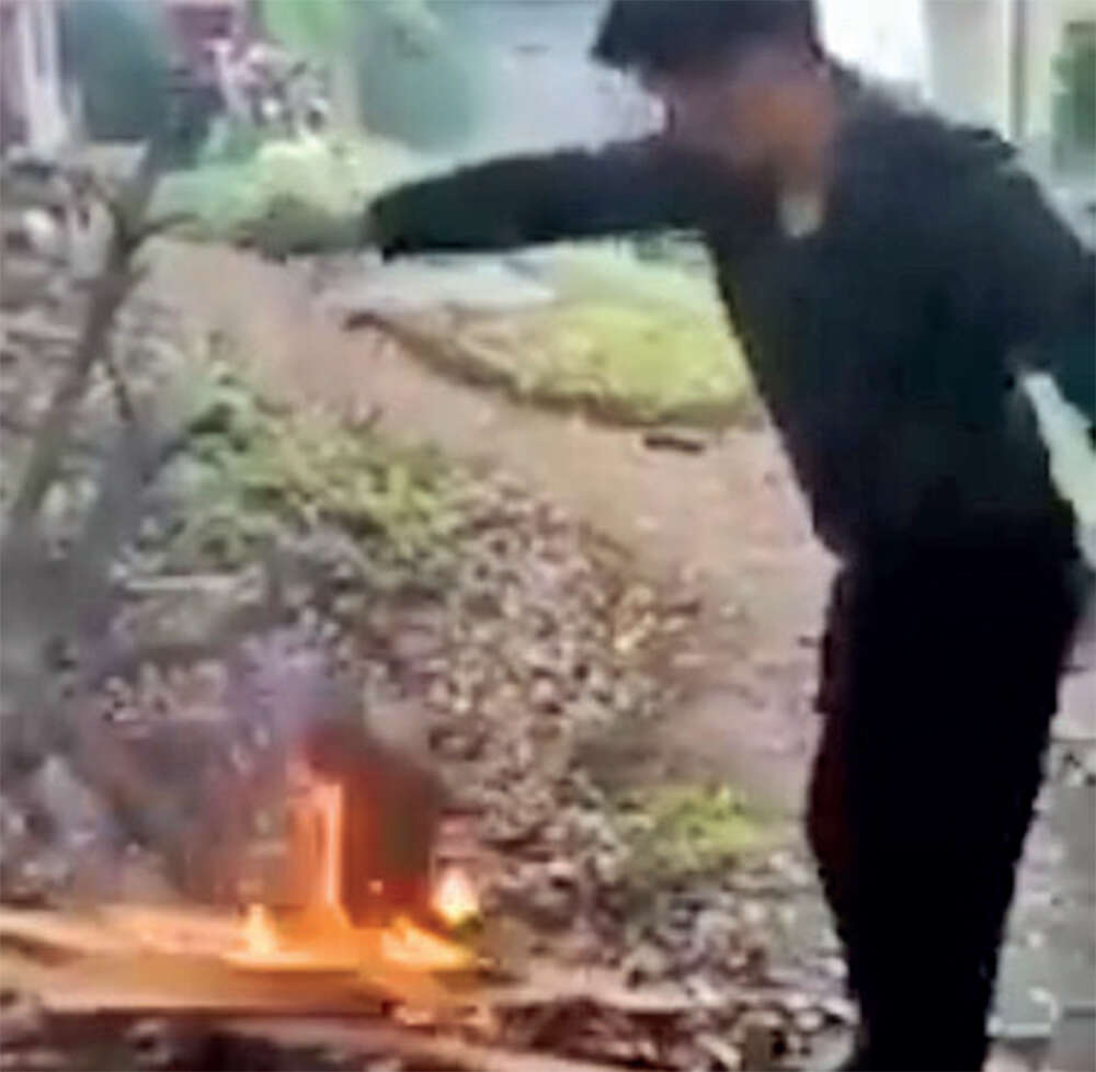 Fake News Buster: Video of a puppy being roasted alive in India?