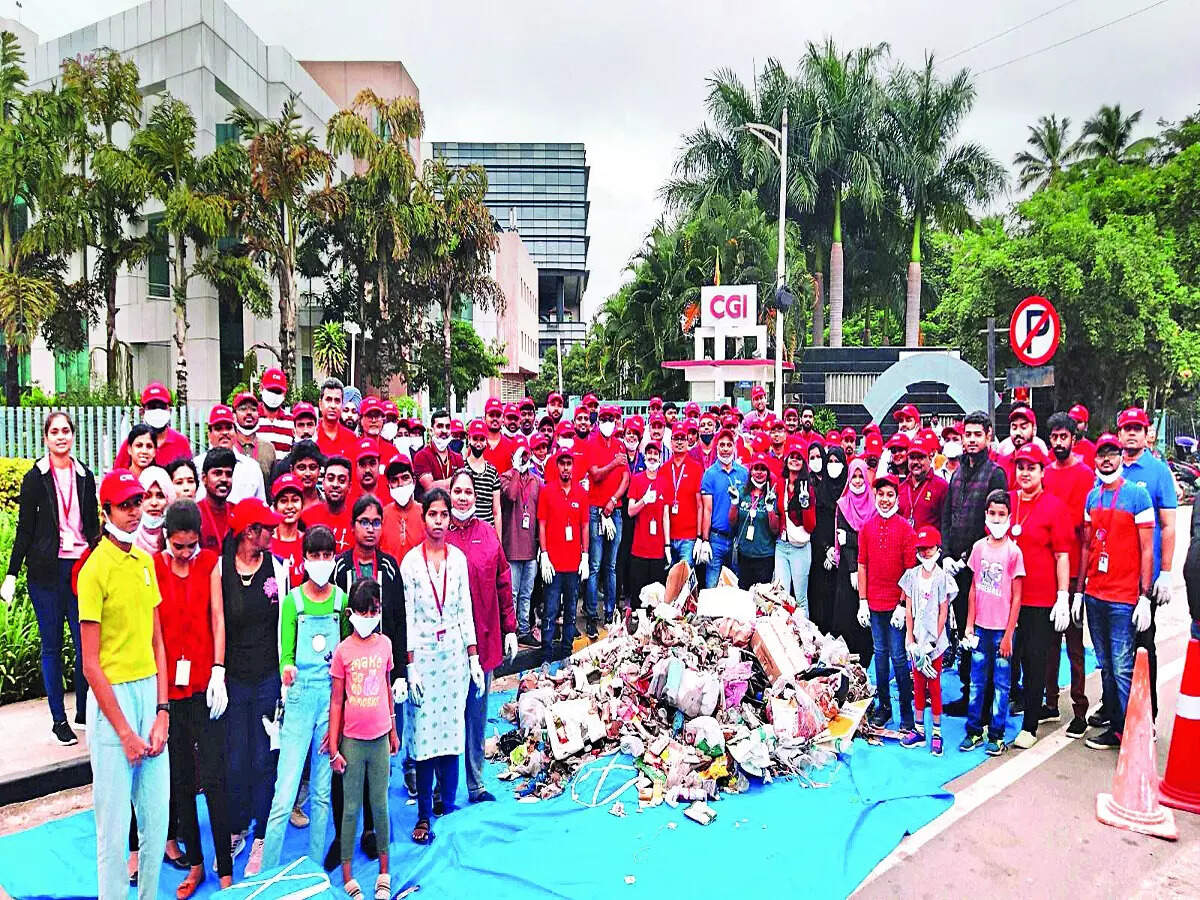 who-ll-clean-up-it-professionals-take-up-cudgels