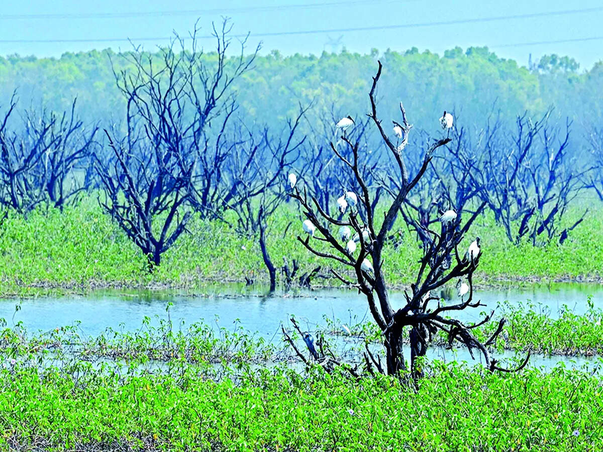 karnataka: Karnataka: ‘God’s most loved country’