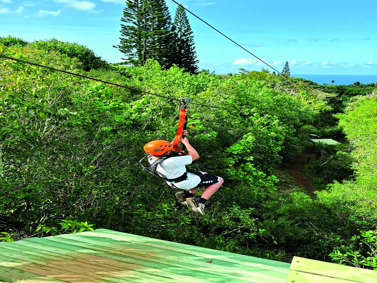 Zipline tragedy puts sports safety in focus
