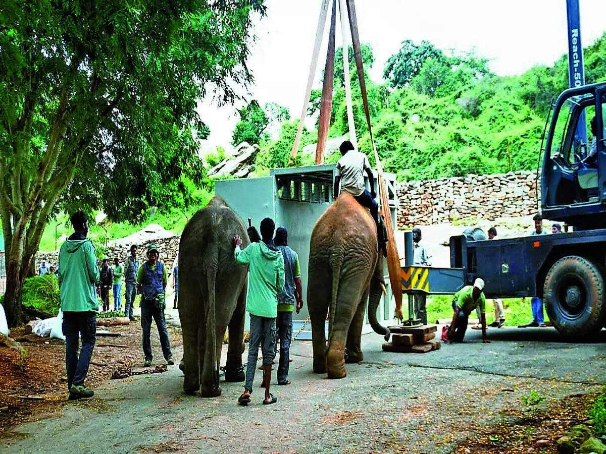 Tusk force will take it Japaneasy