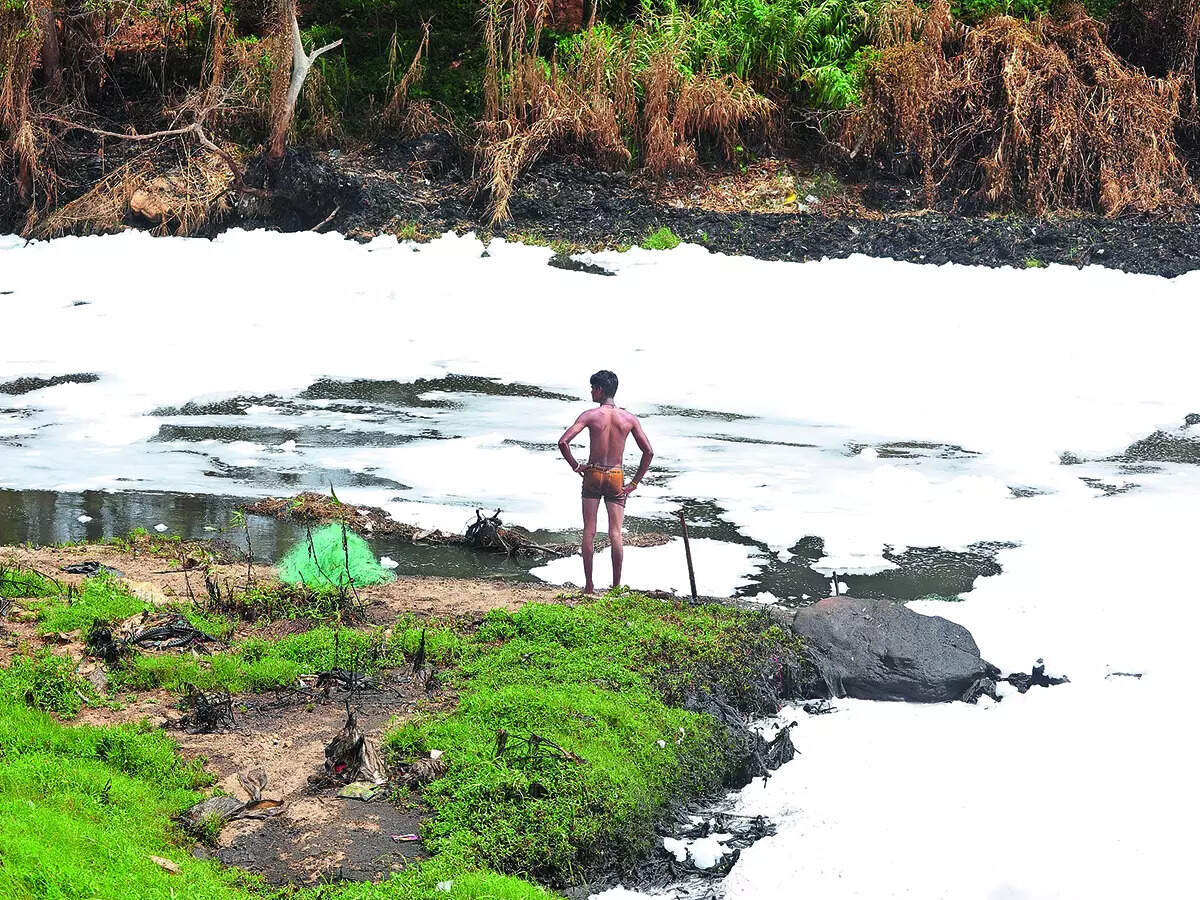 Public-private partnership to drive Arkavathi River project