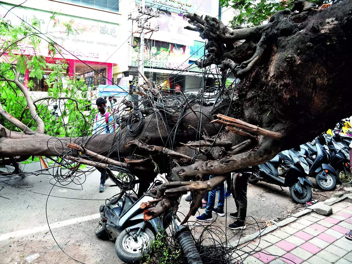 Tree body problem