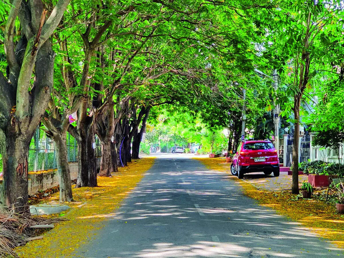 Tree enumeration for census stalled in multiple zones